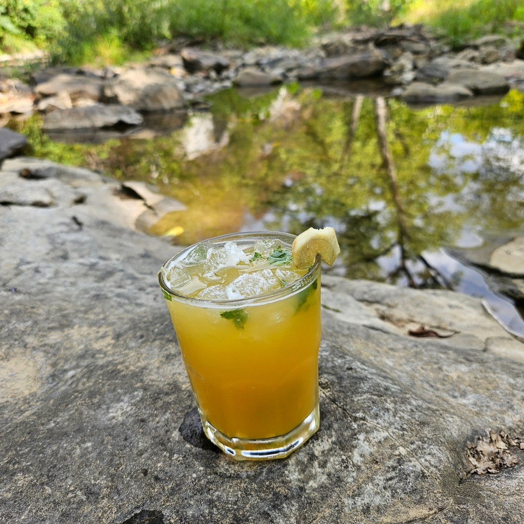 Cocktail Bar + Kitchen – Cocktail Bar + Kitchen